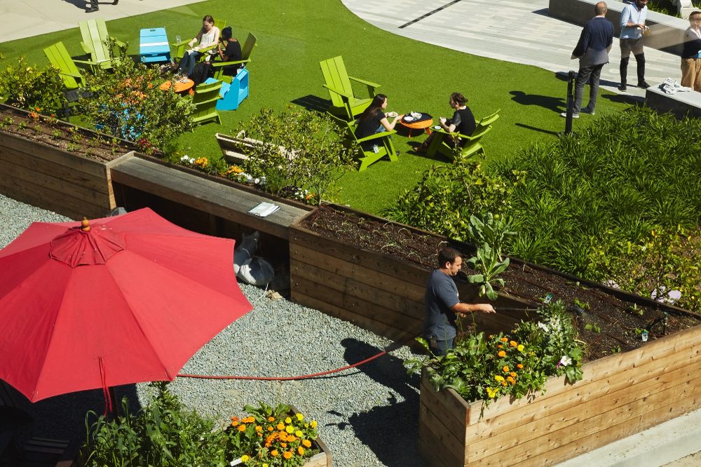 Building an Impeccable Brand Reputation for Small Businesses