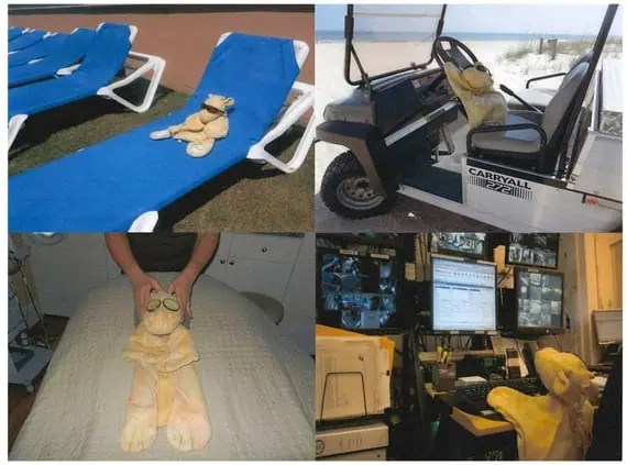 10 Real Customer Service Examples to Inspire You