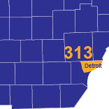 Detroit, MI Local Phone Numbers | Area Code 313
